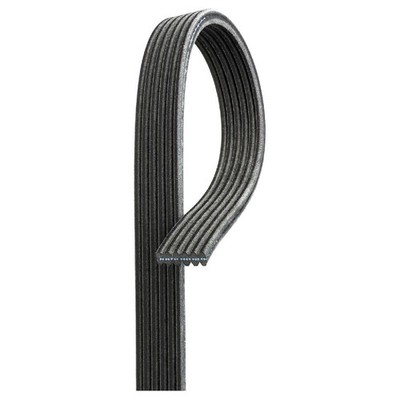 Gates Keilrippenriemen 9458469 30731862 9A110221700 8692141 | 798959 ...