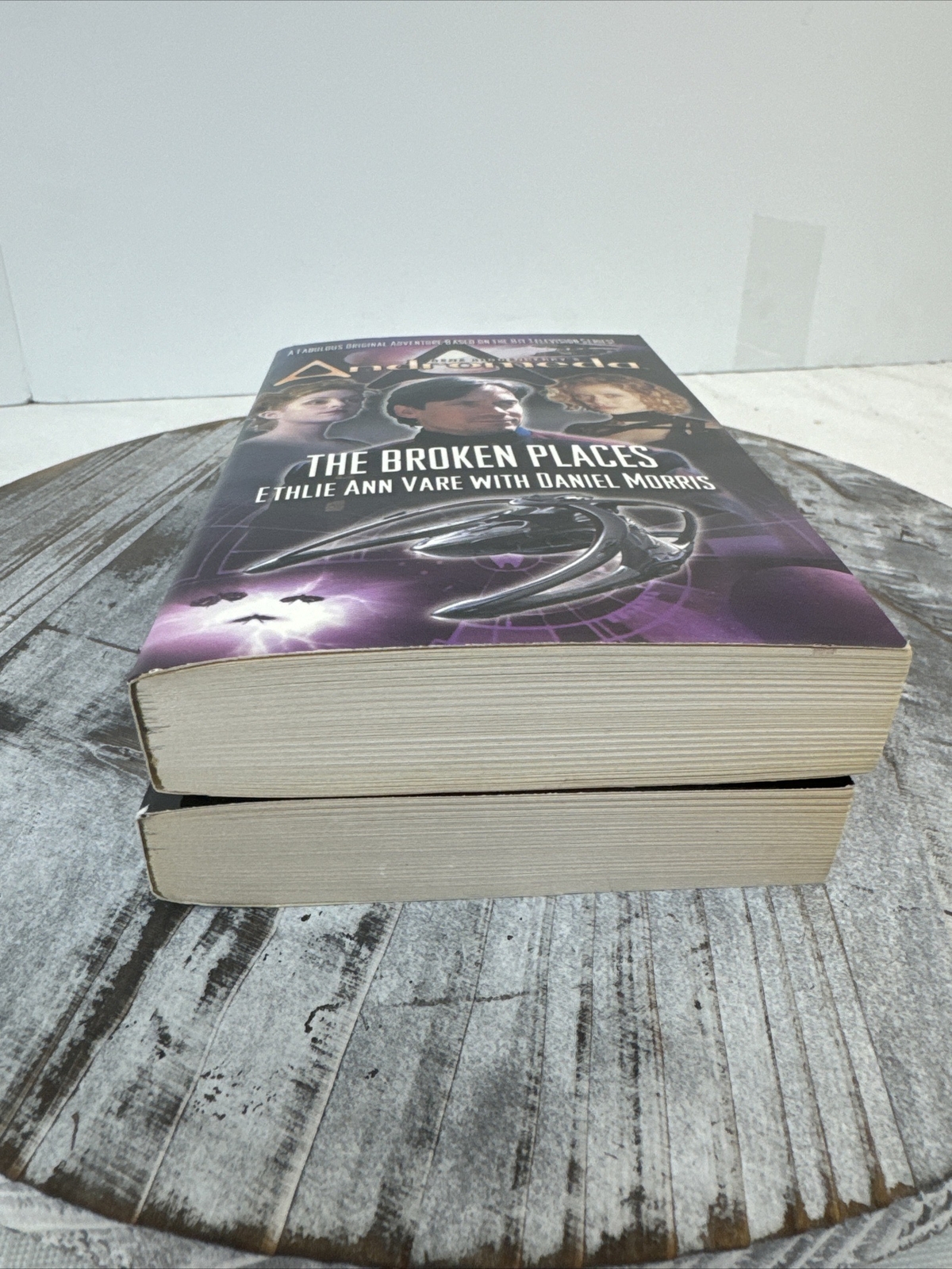 Gene Roddenberry's Andromeda Book Lot of 2 PB Destruction of Illusions ...