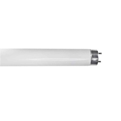 Ormalight T8 Leuchtstoffröhre 120cm 36W/864 G13 Lampe Tageslicht 6400K ...