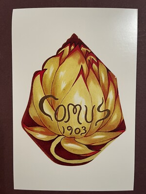 POSTCARD MARDI GRAS INVITATION TREASURES- MISTI K KREWE OF COMUS BALL ...