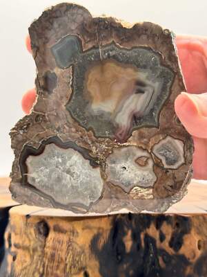 New Mexico Agate | eBay