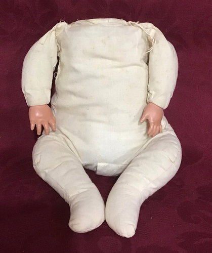 Great Little Antique German Cloth Bye-lo Baby Doll Body with Celluloid ...