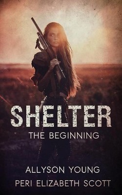 Shelter: The Beginning by Allyson Young (English) Paperback Book ...