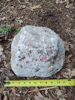 Large Pudding Stone | eBay