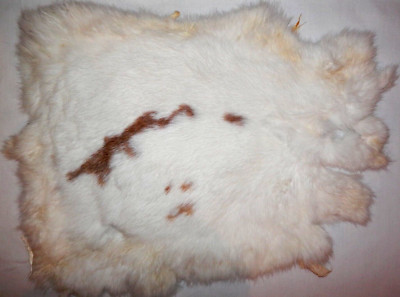 10"x12" Tanned Rabbit Skin Hide Pelt Natural Decor #1599 | eBay