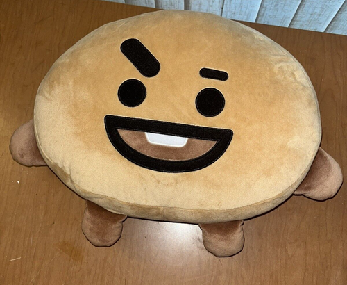 Official BTS BT21 Line Friends Face Cushion (SHOOKY) With Tags | eBay