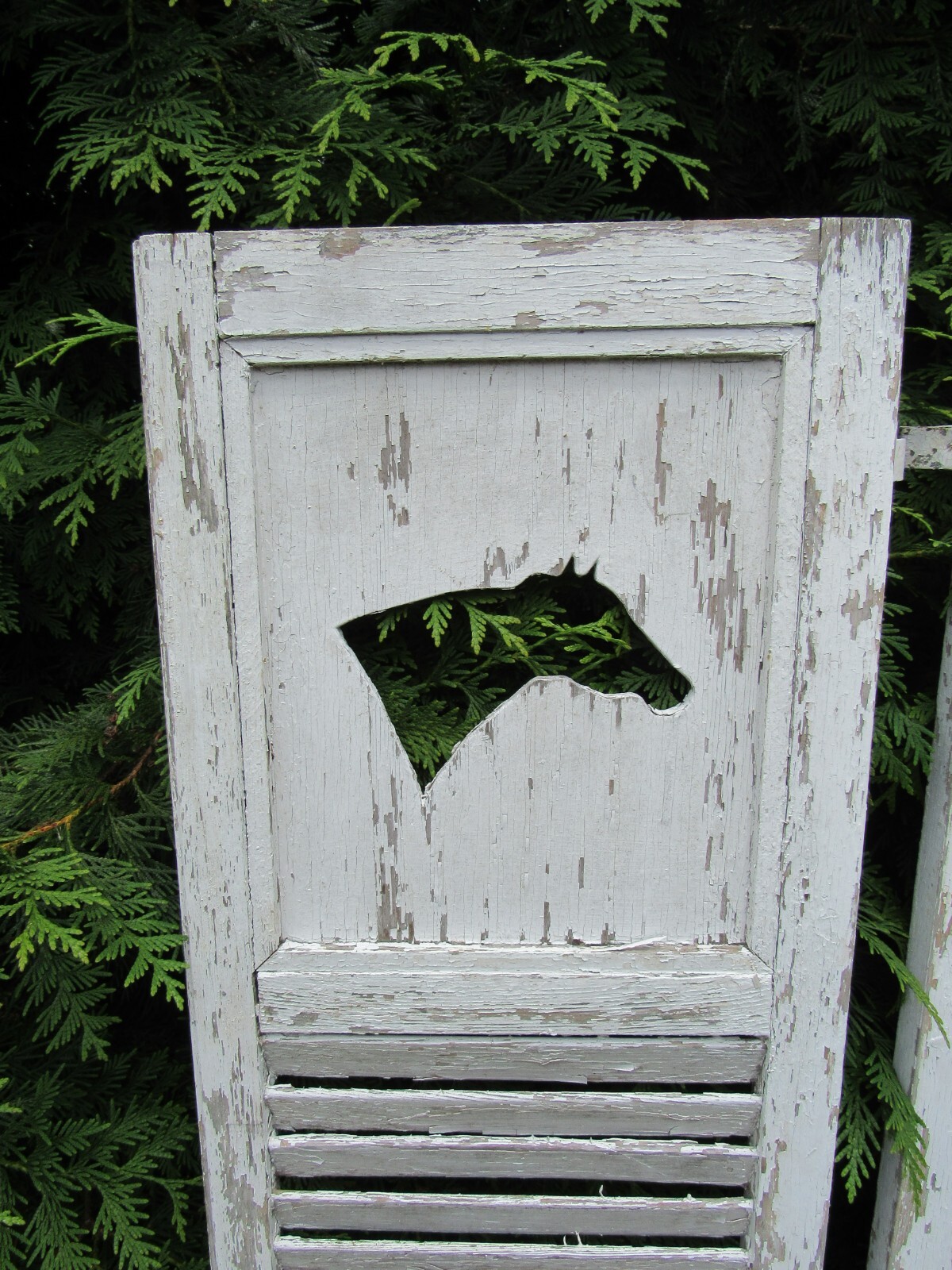 Antique Pair Equestrian Horse Stable Window Shutters Saloon Louver ...