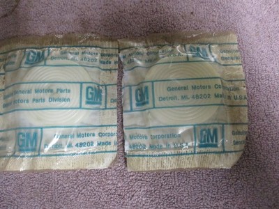 New NOS GM 1970's Era Interior Side Quarter Lens Courtesy (2) 8770219 ...