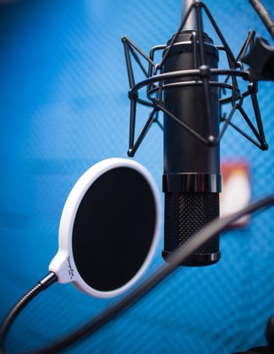 Slate Digital ML-1 VMS Diaphragm Modeling Wired Condenser Microphone ...