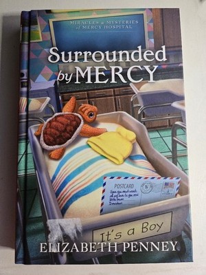 SURROUNDED BY MERCY by Elizabeth Penney -Miracles & Mysteries of Mercy ...