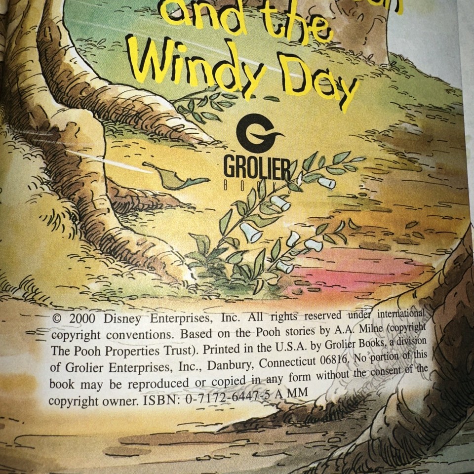 Disney's Winnie the Pooh and the Windy Day | eBay