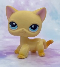 LPS #339 Orange Short Hair Cat Brooke Hayes Blue Eyes for sale online ...