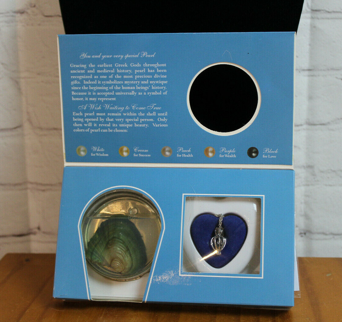 A ~ Dong Hui Pearl In A Shell Necklace A Wish Waiting To Come True ...