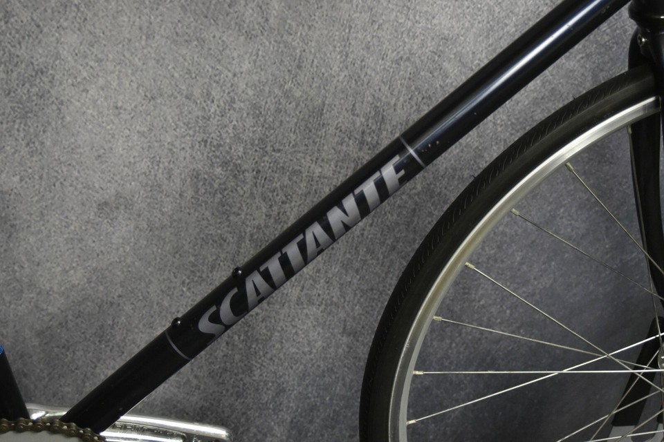 SCATTANTE AMERICANO ROAD BIKE SIZE LARGE, 58 CM, SINGLE SPEED, STEEL | eBay