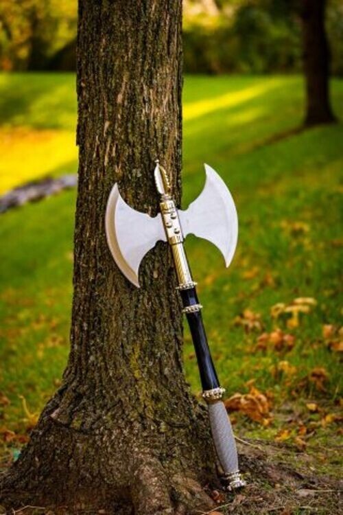 21" Double Blade Medieval Fantasy Fighting Axe with Plaque | eBay