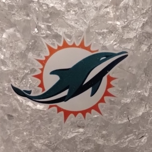 Miami Dolphins 16oz Crystal Freezer Pilsner Glass Official NFL Frozen ...