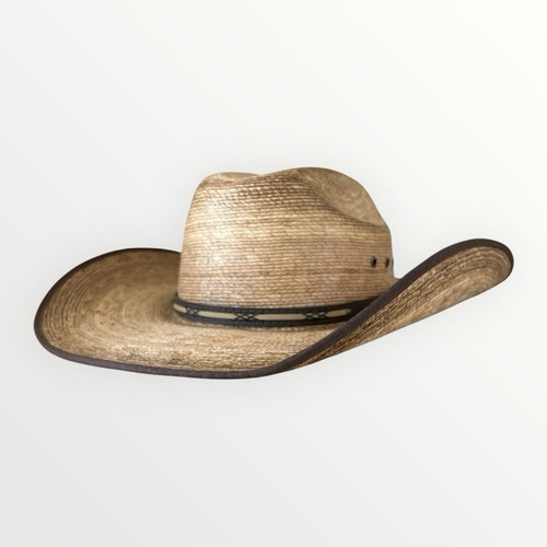 Resistol Jason Aldean Palm Leaf Cowboy Hat - Amarillo Sky Youth Size | eBay