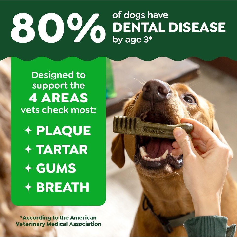 Greenies Veterinarian-Recommended Natural Dental Dog Treats, Large Size ...