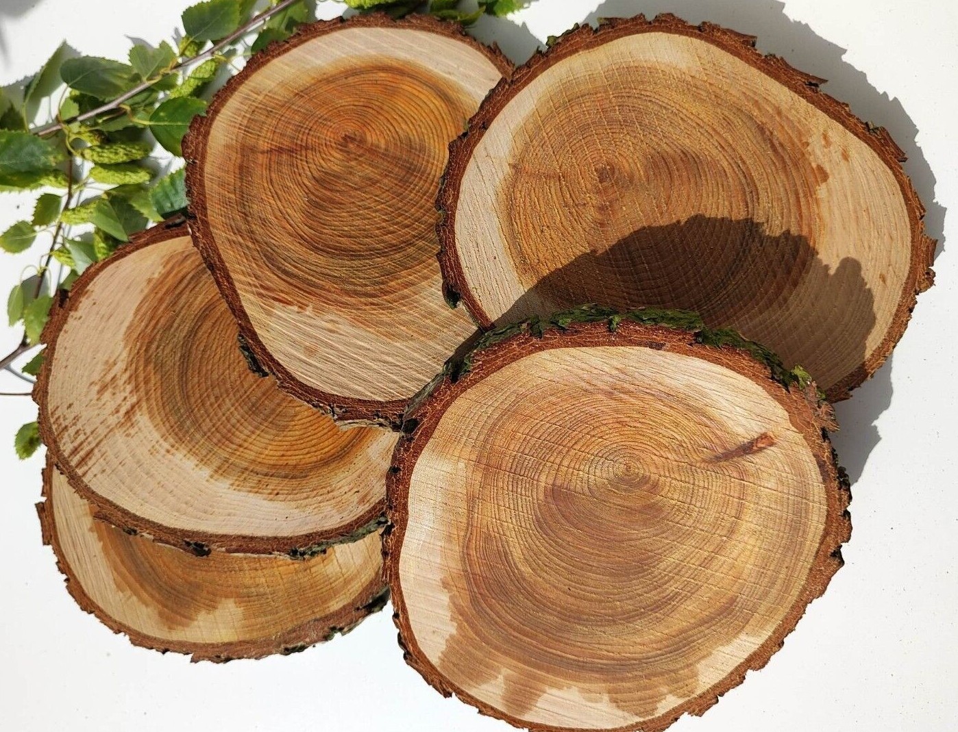 Log Wooden Slices LOCAL CRAFTS 2-18CM Wood Discs Round Wedding Cedar ...