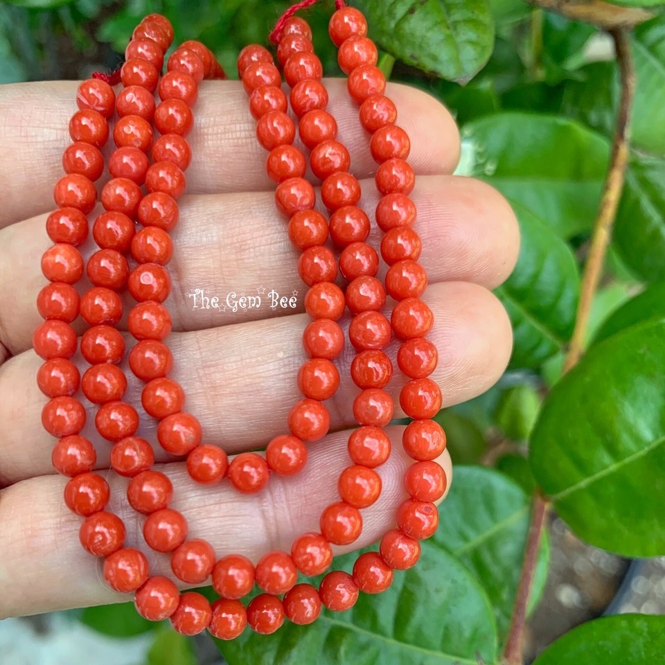 4.5mm Undyed Mediterranean Sardinia Red Coral Round Bead 6" strand | eBay
