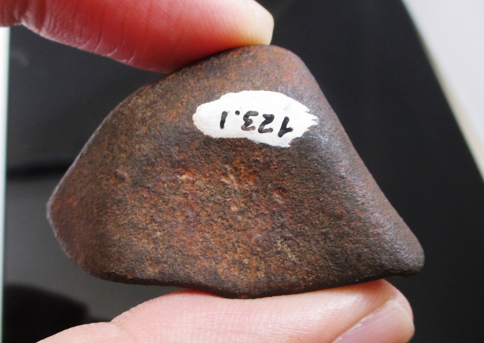 Tenham meteorite - 34.6 gram - L6 chondrite - Ex. Walton - Australia ...