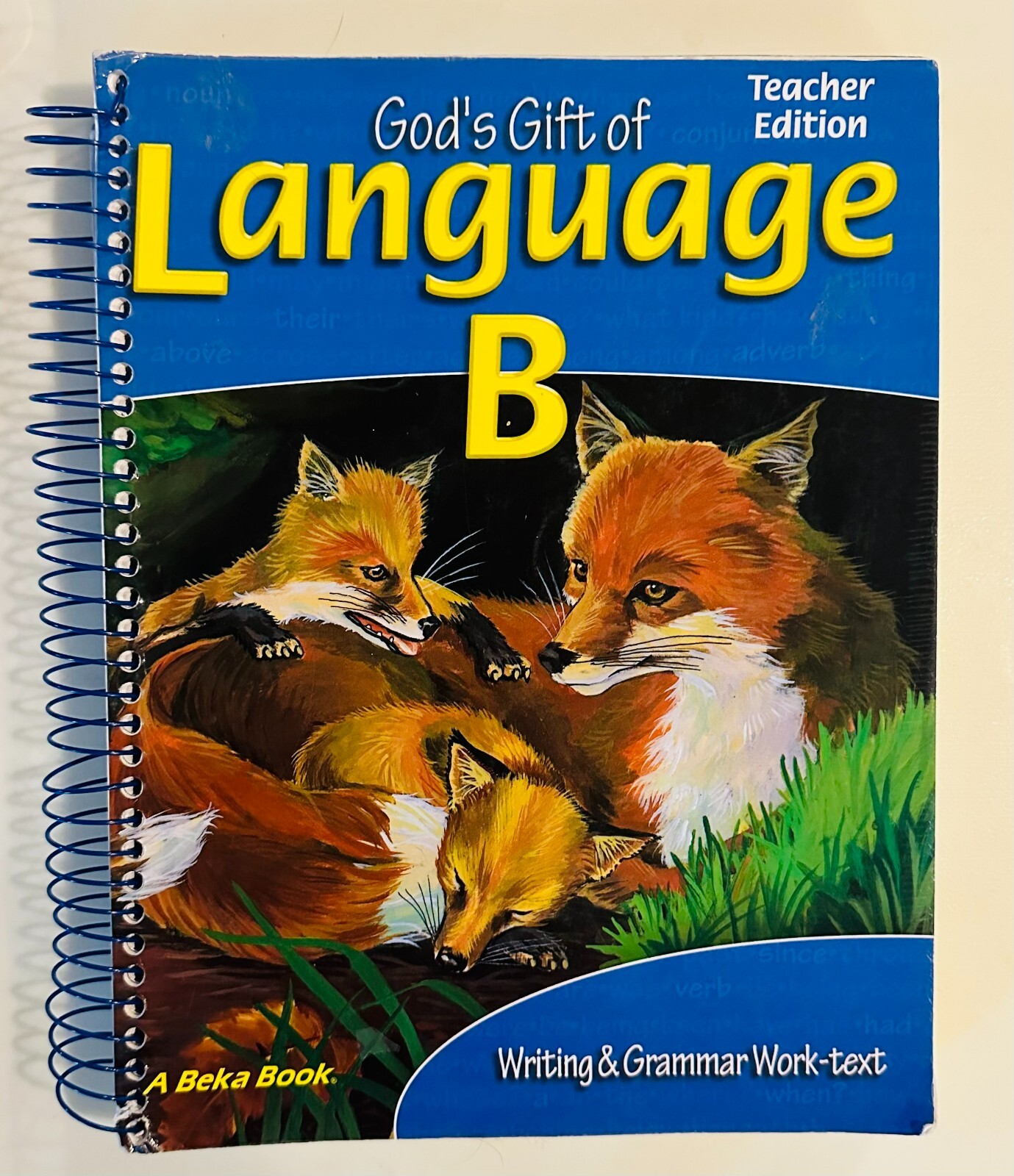Abeka Book God's Gift of Language B Teacher Edition | eBay