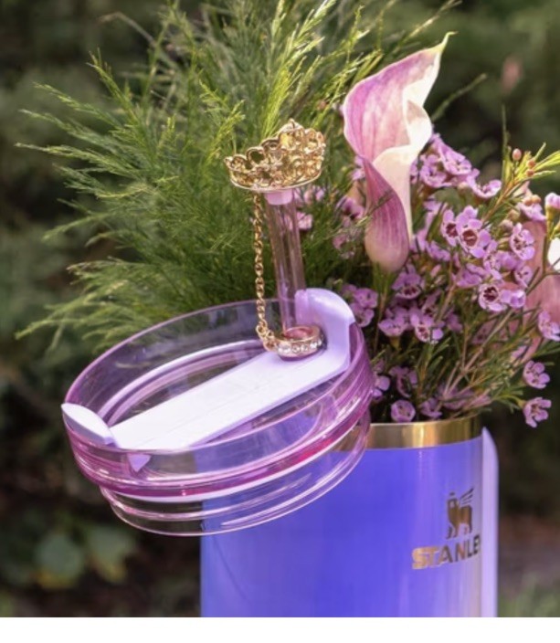 Stanley x Wicked For Good | CharCharm Straw Topper Crown | 18k Gold ...