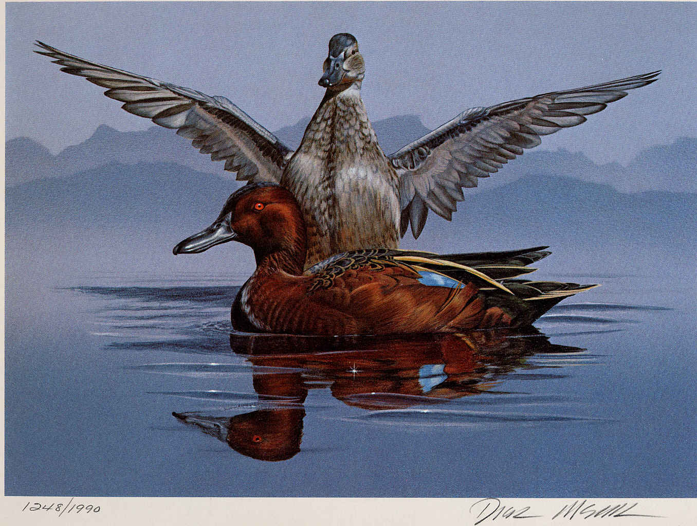 NEVADA #2 1980 STATE DUCK STAMP PRINT CINNAMON TEAL by Dick McRill List ...