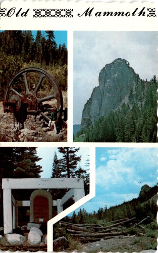 Vintage Postcard: Mammoth City Gold Rush Boom Town | eBay