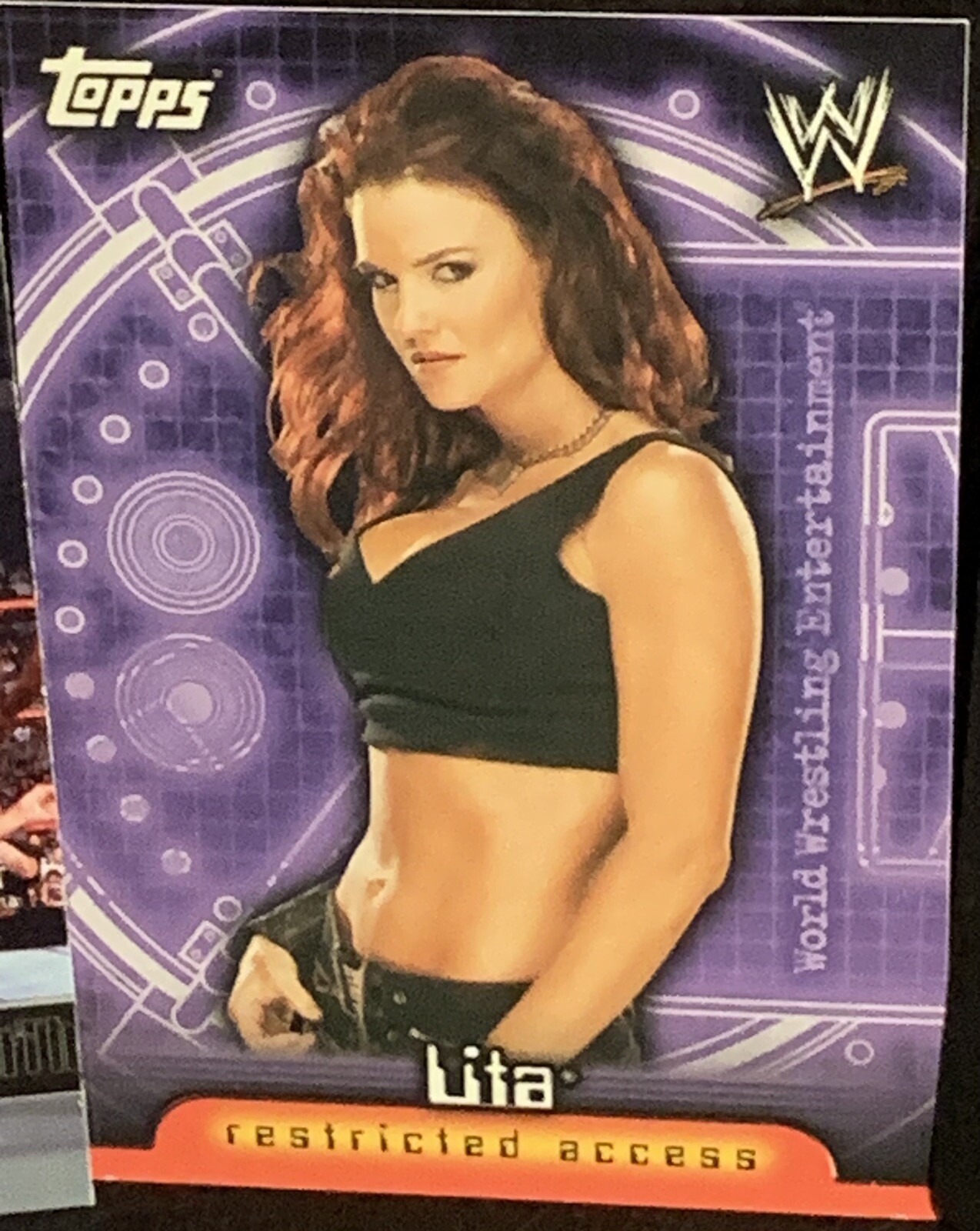 Lita WWF Ultimate Divas Collection Fleer 2001 Moonsault Raw Deal WWE Topps 2006 | eBay