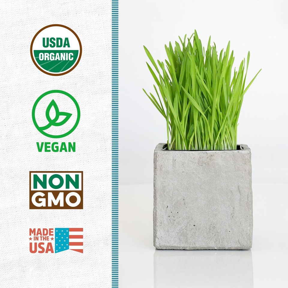 Back to the Roots Organic Wheatgrass Seeds – 2lb Wheatgrass ...