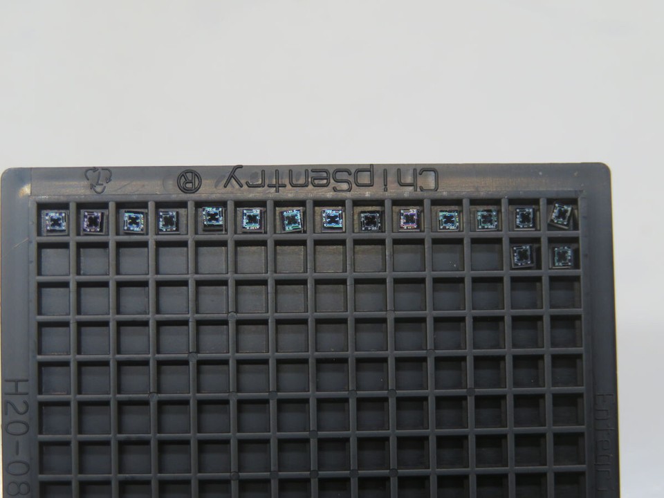 LOT OF 212 CHISENTRY P7405A-03K-30-C ENTEGRIS BARE DIE/CSP TRAY T255071 ...