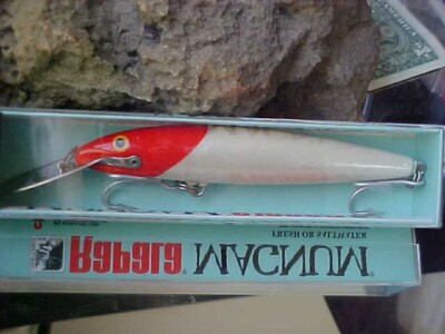 Rapala 5-1/2" Countdown Magnum CDMAG14 RH for Stripers/ Musky, Blues ...