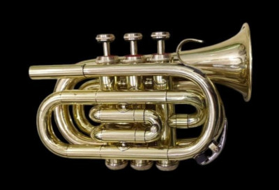 Pocket Trumpet Professional Model Compact Size Brass Polish Jazz ...