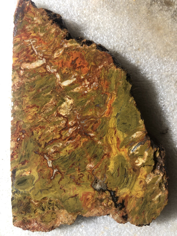 4 3/8” Kaleidoscope Jasper Slab 145g Bog Wood Oregon Gem Agate Red ...