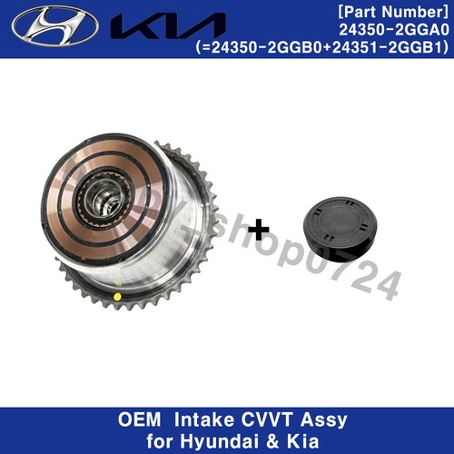 Genuine 243502GGA0 (=243502GGB0 + 243512GGB1) Intake CVVT Assy for ...