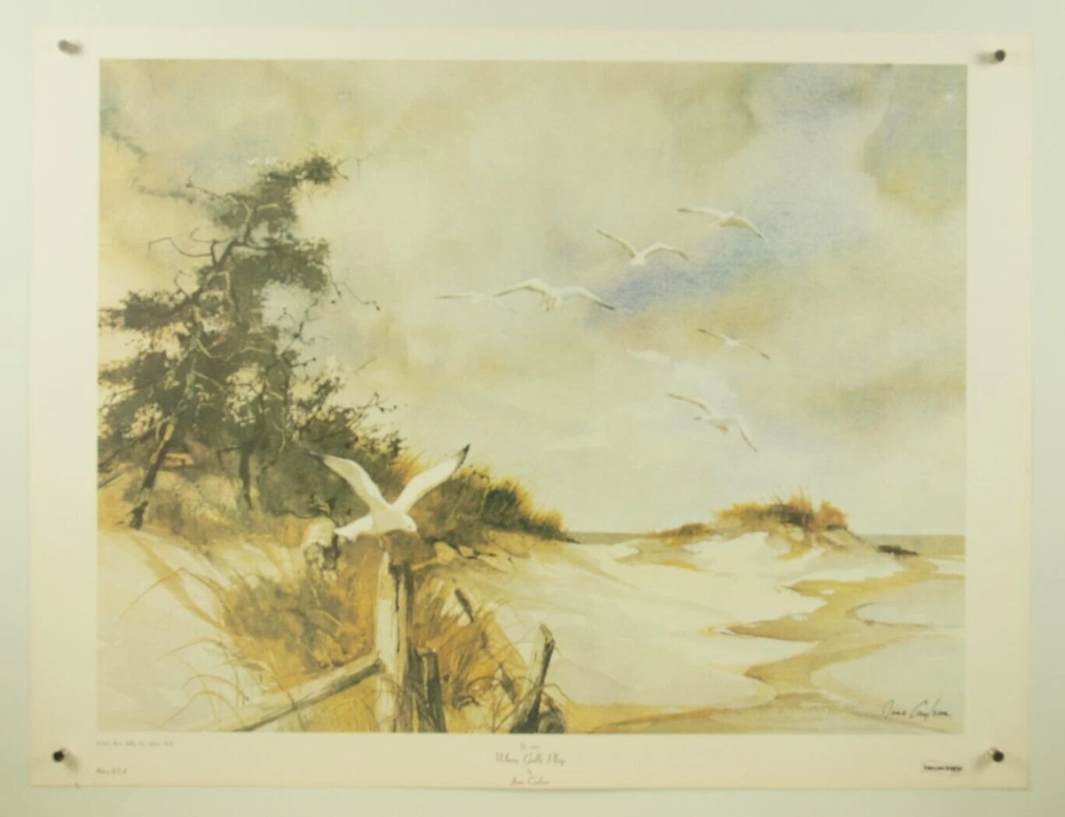 Paintings By Jane Carlson