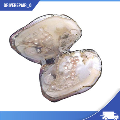 25PCS Natural Akoya Pearl Oysters Real Pearl Freshwater Pearl 5-7mm ...