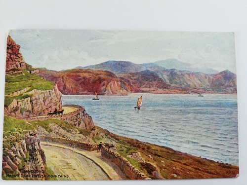 POSTCARD SALMON A R QUINTON 1071 LLANDUDNO, MARINE DRIVE & WELSH ...