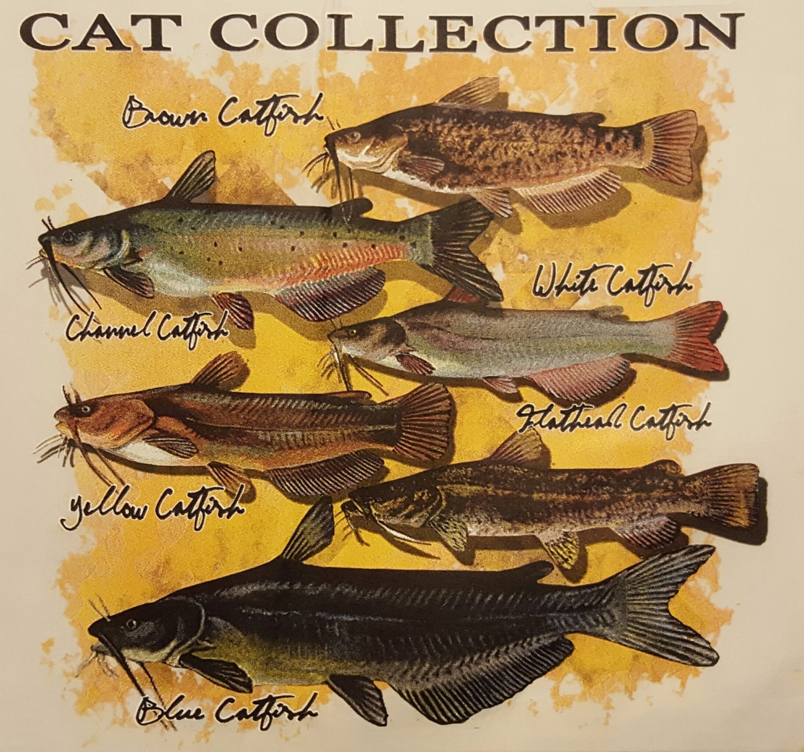 CAT COLLECTION BROWN WHITE BLUE CATFISH FISH FISHING #457 LONG SLEEVES ...