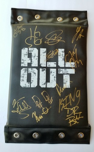 AUTOGRAPHED SIGNED AEW ALL OUT 2021 Turnbuckle All Elite Wrestling CM ...