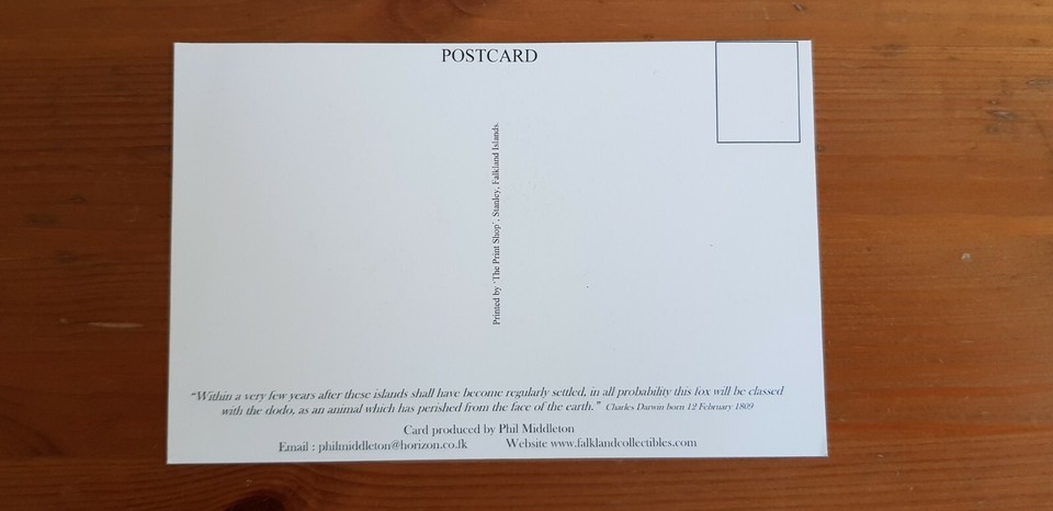 POSTCARD GREETINGS FROM FALKLAND ISLANDS WARRAH FOX-UNADDRESSED | eBay