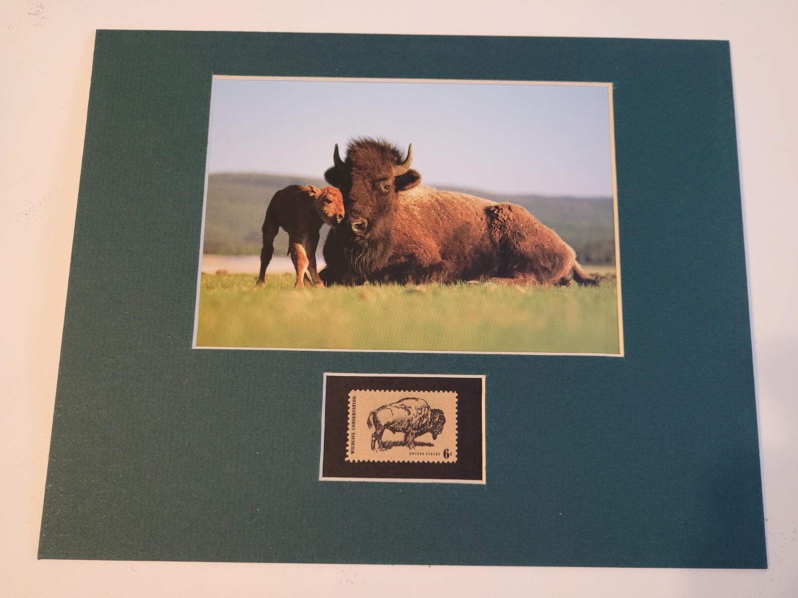 AMERICAN BISON & CALF - BUFFALO - FRAMEABLE POSTAGE STAMP ART - 1179 | eBay