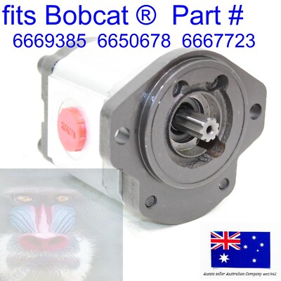 Skid Steer Loaders - Bucket And Forks