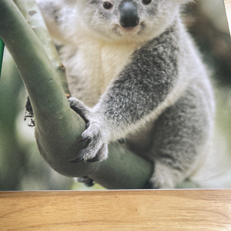 Two New Steve Parish Books And New Book On Australian Birds | eBay