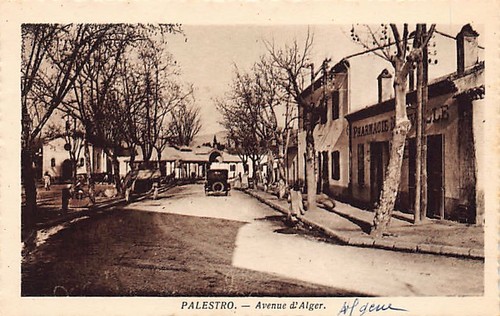 Algérie - PALESTRO Lakhdaria - Aved'Alger | eBay