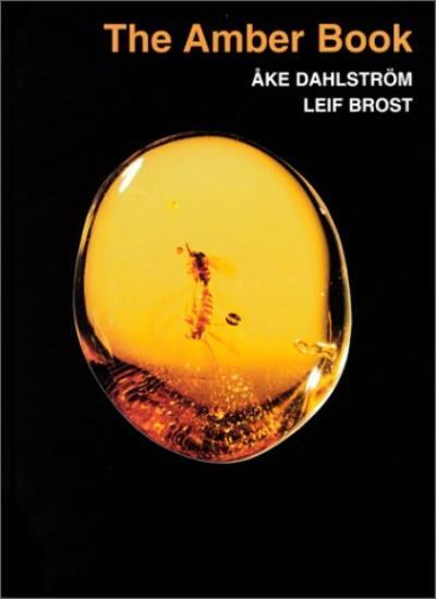 The Amber Book: Ake Dahlstrom and Leif Brost,Lief Brost, Ake Dah | eBay