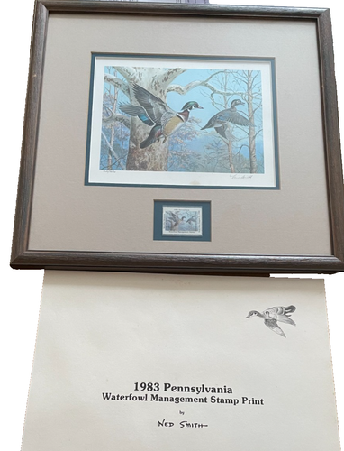 Ned Smith 1983 PA Waterfowl Stamp Print – Artwork – Singed Limited ...