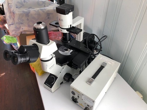Olympus CKX41 Inverted Phase Contrast Fluorescence Microscope | eBay