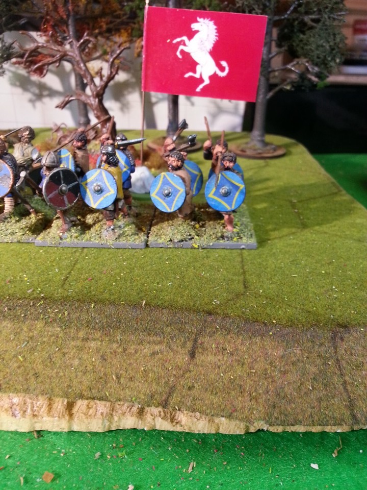 28mm Ancients Pro Painted Saxon Thegns and Fryd Army x 16. | eBay UK